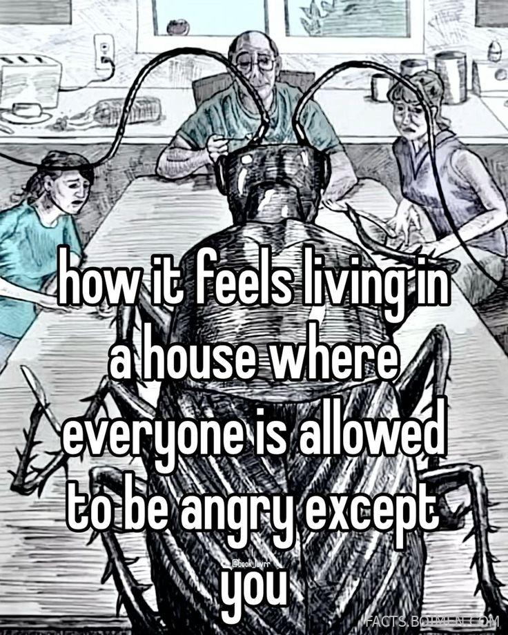Family Dynamics: How to Stop Suppressing Your Anger and Create Fair ...