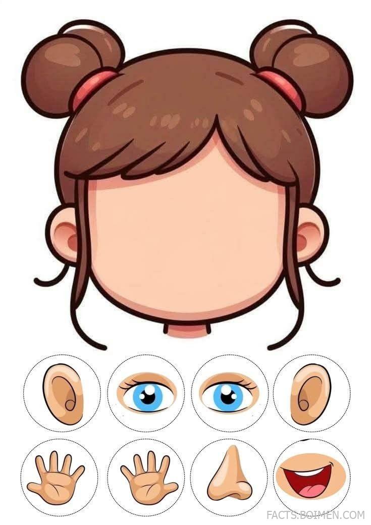 Learning Face and Body Parts for Kids: A Fun Educational Activity